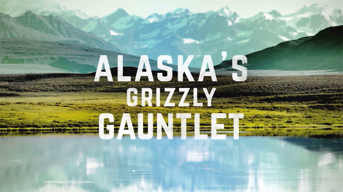 Alaska's Grizzly Gauntlet - Ping Pong Productions