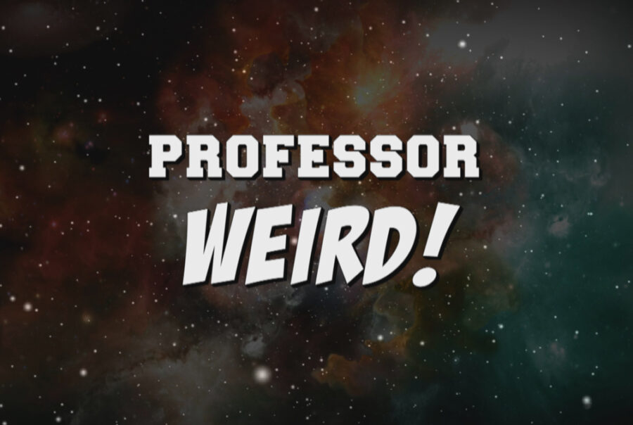 Shows - Ping Pong Productions